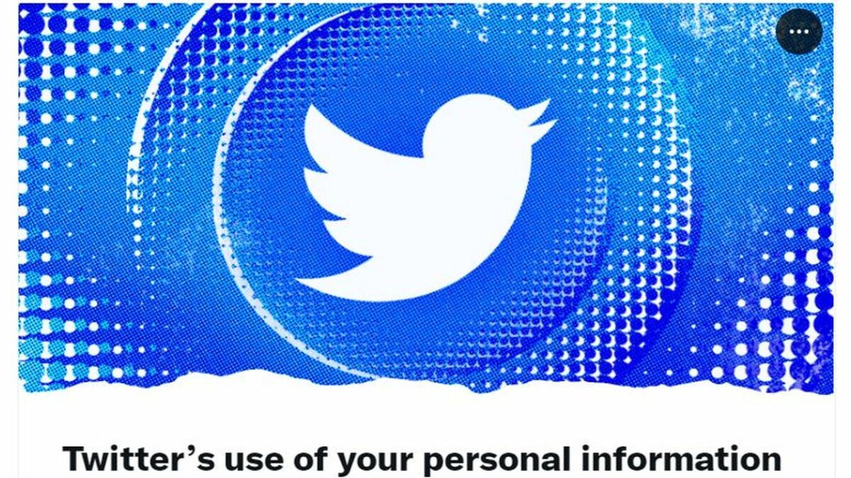 How to view the personal information Twitter has gathered on you - Softonic
