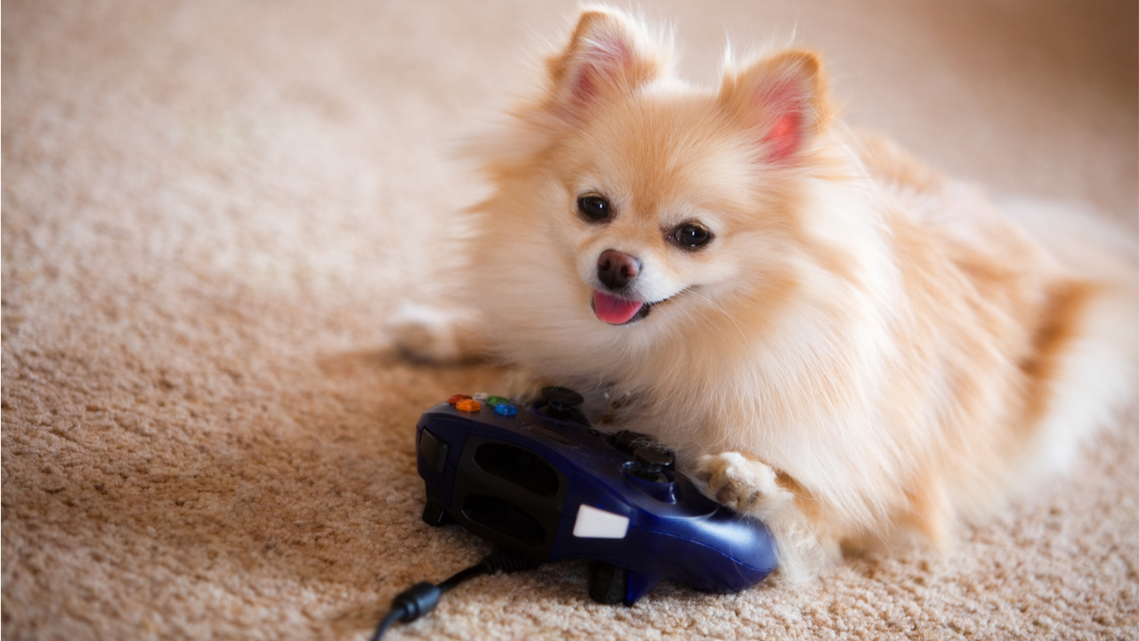 The first video game console for dogs - Softonic