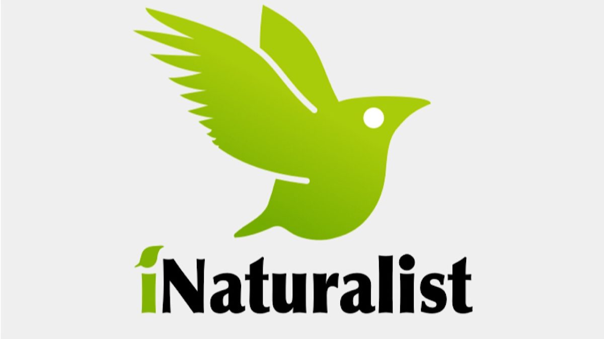 Top 3 nature and wildlife apps - Softonic