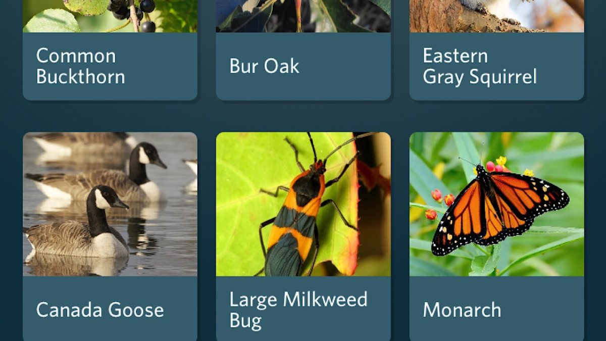 Top 3 nature and wildlife apps - Softonic