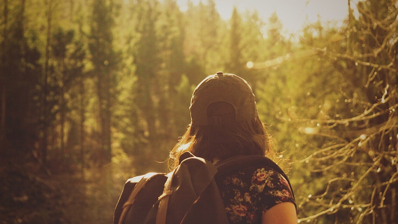 Top 3 nature and wildlife apps - Softonic