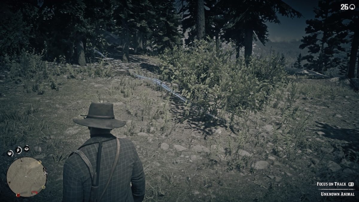 How to master hunting in Red Dead Redemption 2 - Softonic