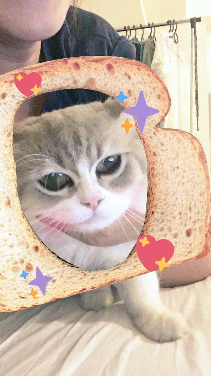 Snapchat reaches historic technological milestone by creating selfie ...