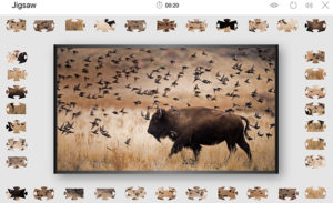 5 classic games on Bing you can play now - Softonic