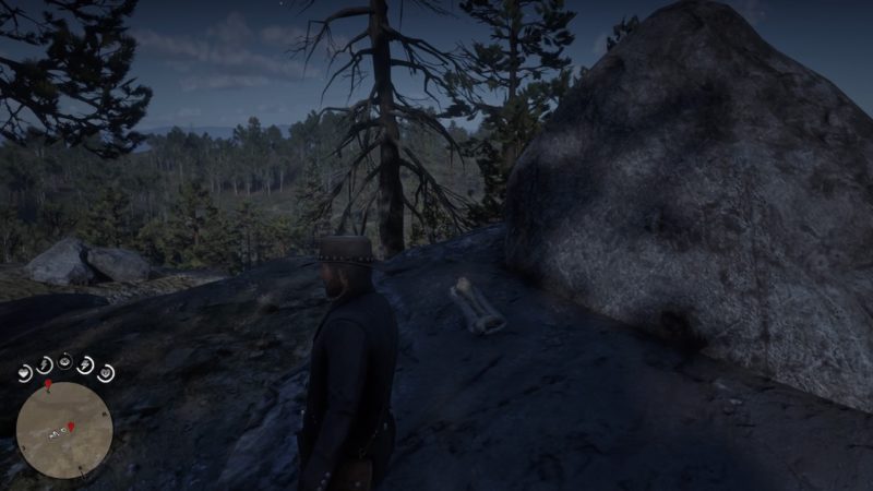 RDR2: Maps to find all 30 dinosaur bones