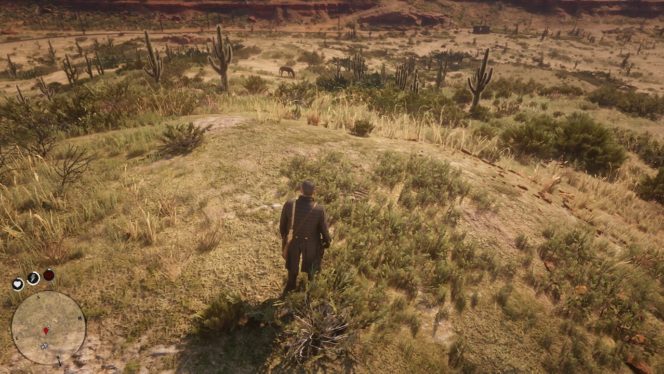 RDR2: Maps to find all 30 dinosaur bones - Softonic