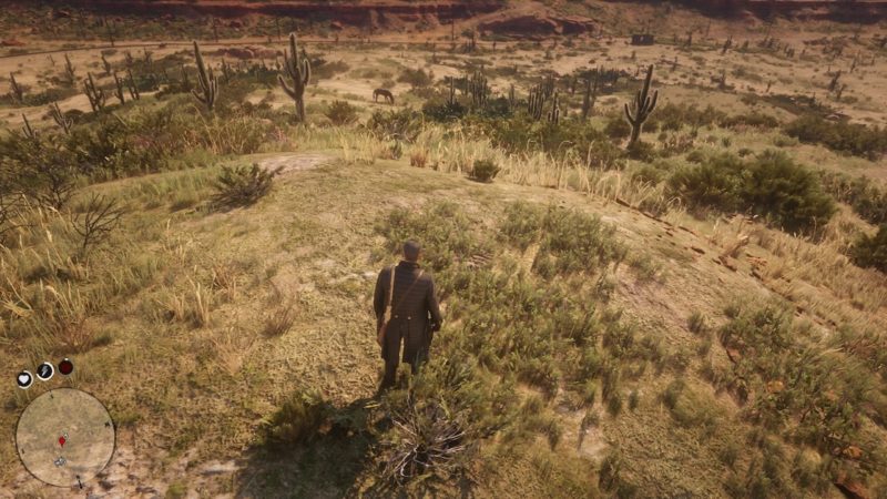 RDR2: Maps to find all 30 dinosaur bones - Softonic