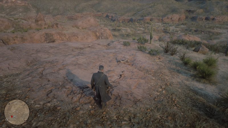 RDR2: Maps to find all 30 dinosaur bones