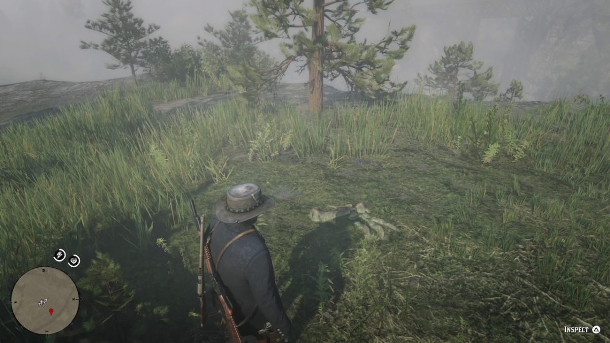 RDR2: Maps to find all 30 dinosaur bones