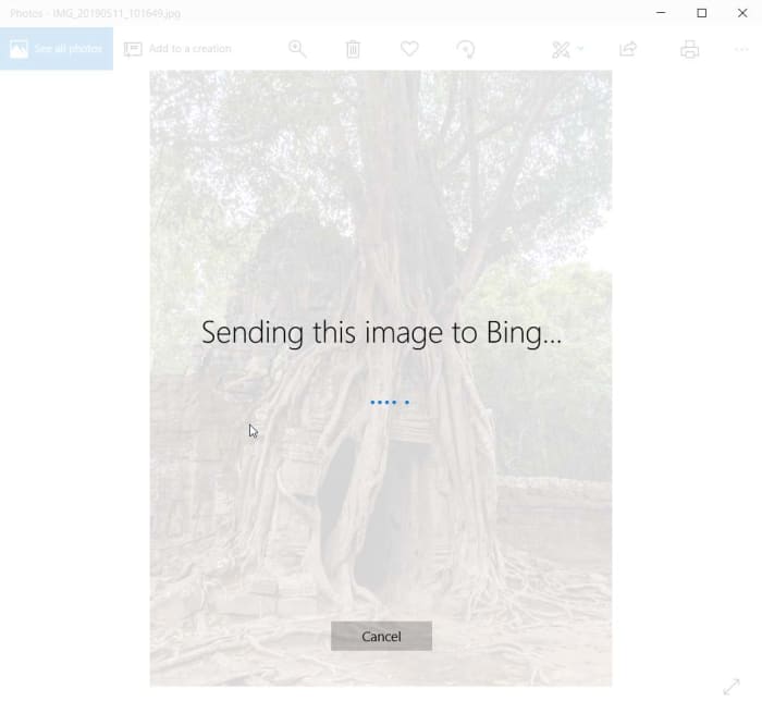 Microsoft Photos can now help you find what you’re looking for - Softonic