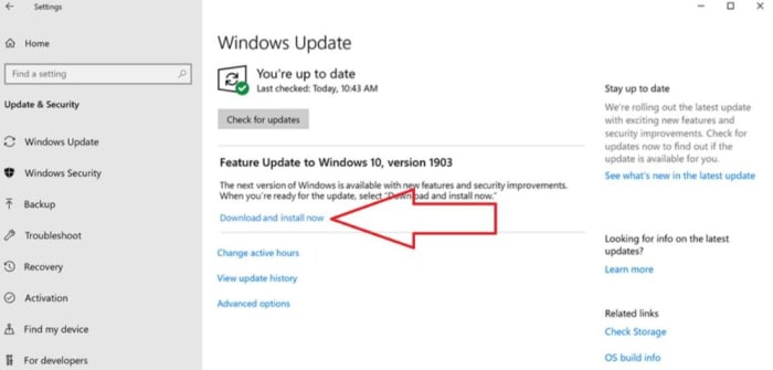 The final Windows 10 update you’ll ever need - Softonic