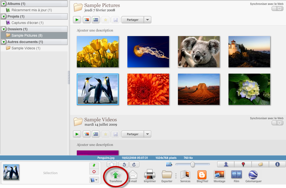 Partager ses photos en ligne: les solutions gratuites et pratiques ...